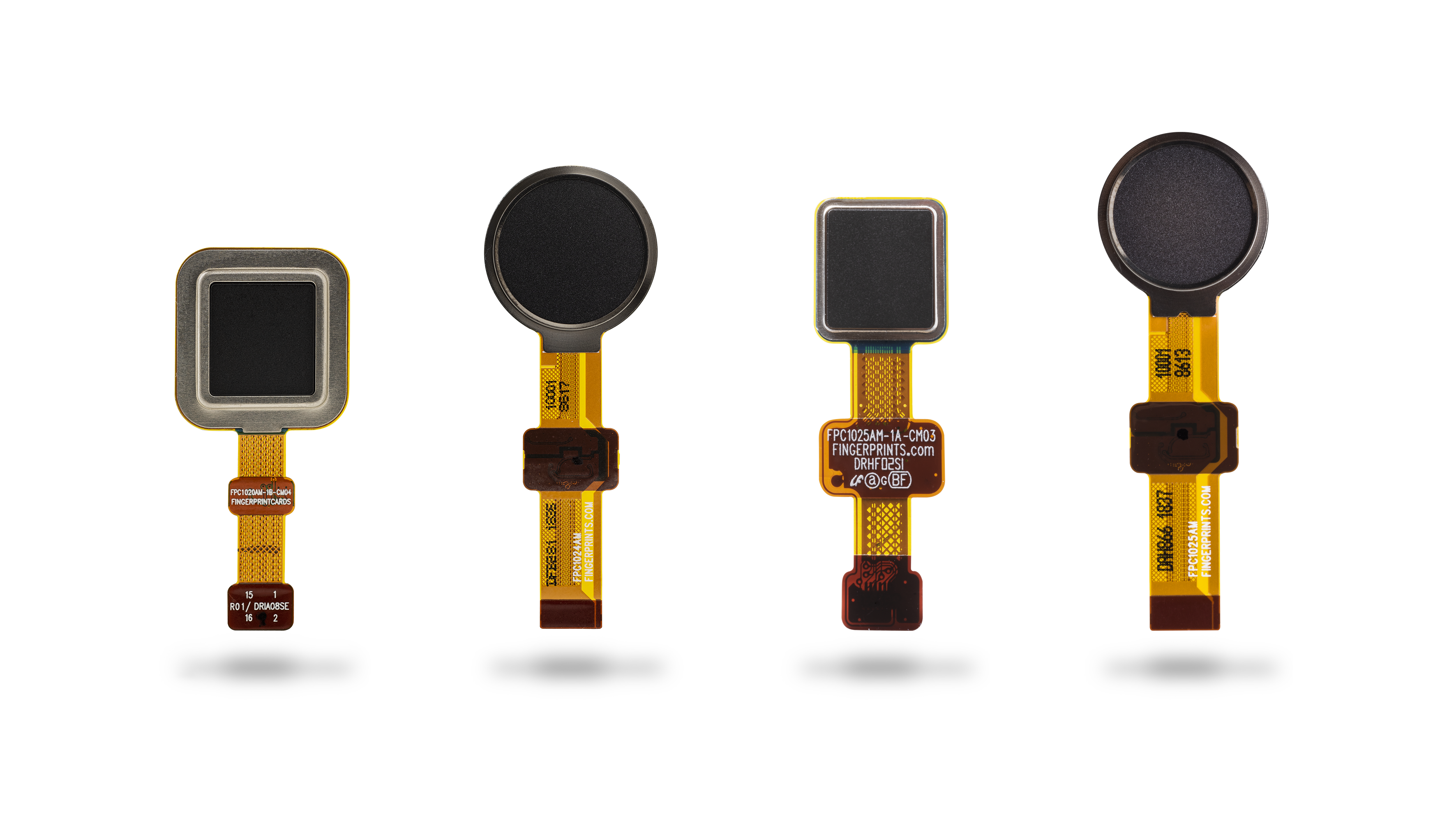 FPC Logical Access Solutions | Secure Digital Identity